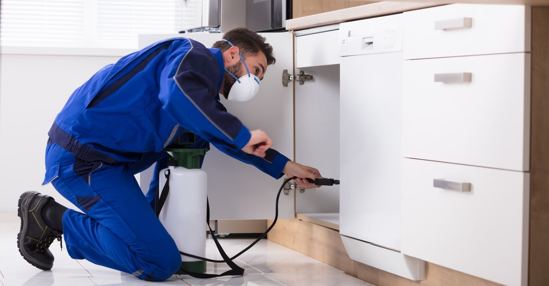 Getting a Pest Inspection Before you List - Lauren Michaels